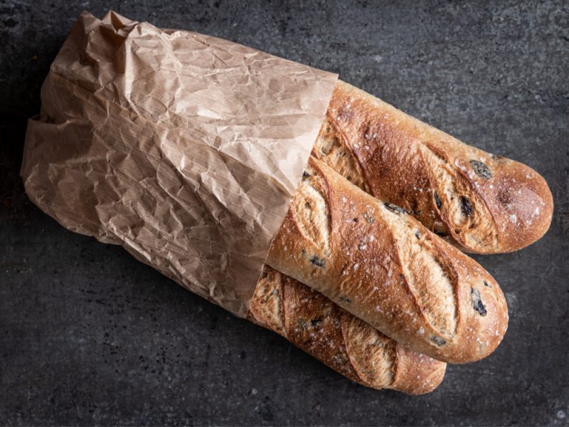 New corporate identity for Pandriks & Bio Breadness | Pandriks